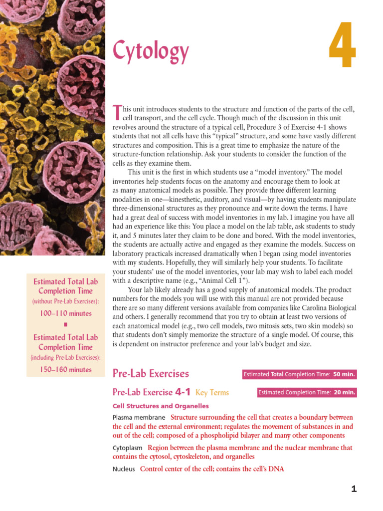 Cell Structure & Function Lab Guide | PDF | Cell Membrane | Mitosis