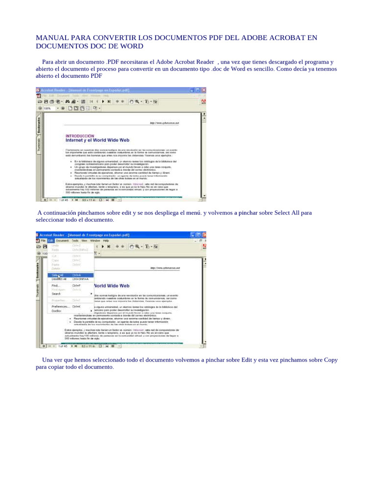 Manual para Convertir Los Documentos PDF Del Adobe Acrobat en Documentos Doc de Word | PDF