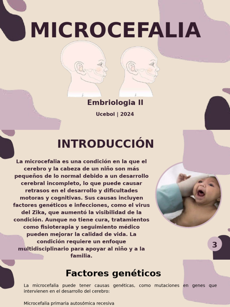 Microcefalia: Causas y Tratamientos | PDF | Mutación | Neurona