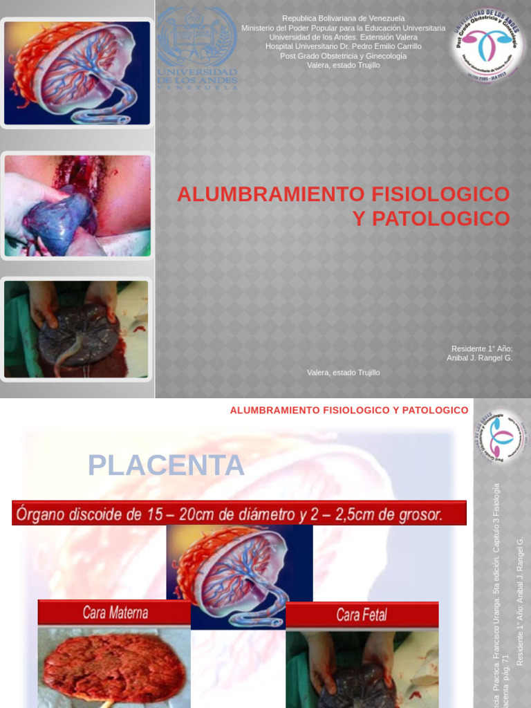 Alumbramiento Normal y Patológico | PDF | Parto | Sangre