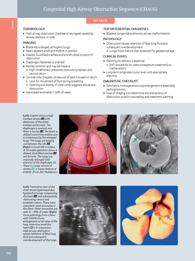 Diagnostic Imaging) Paula J. Woodward, Anne Kennedy, Roya Sohaey - Diagnostic Imaging ...