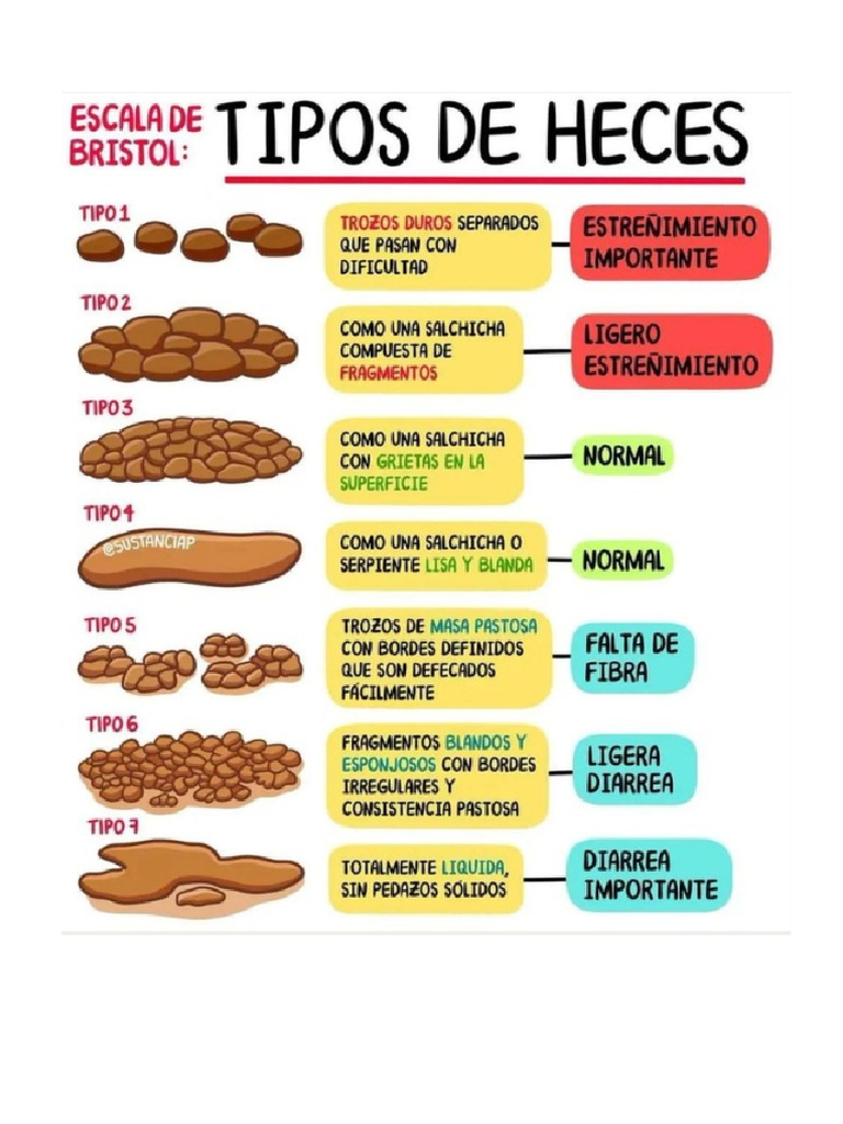 Escala de Bristol | PDF