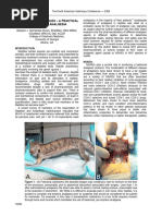 Librela, Dosing Guide For Vets, PDF, UK, Feb 2021, MM 12293 | PDF ...