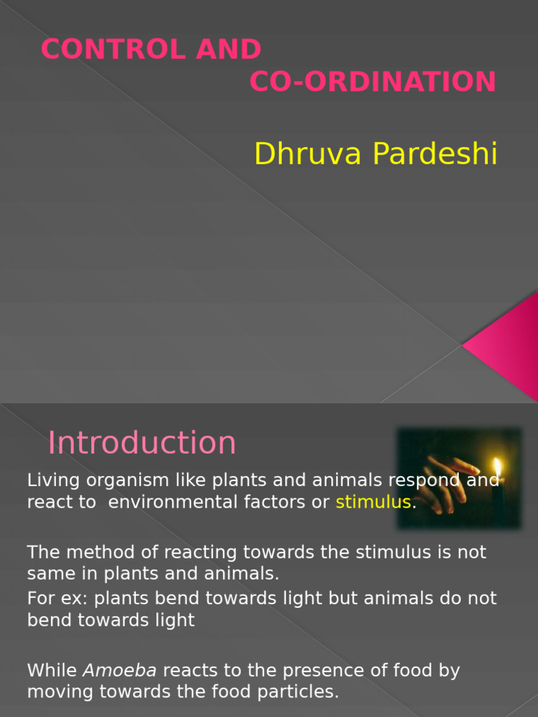Control and Co-Ordination | PDF | Plant Hormone | Nerve