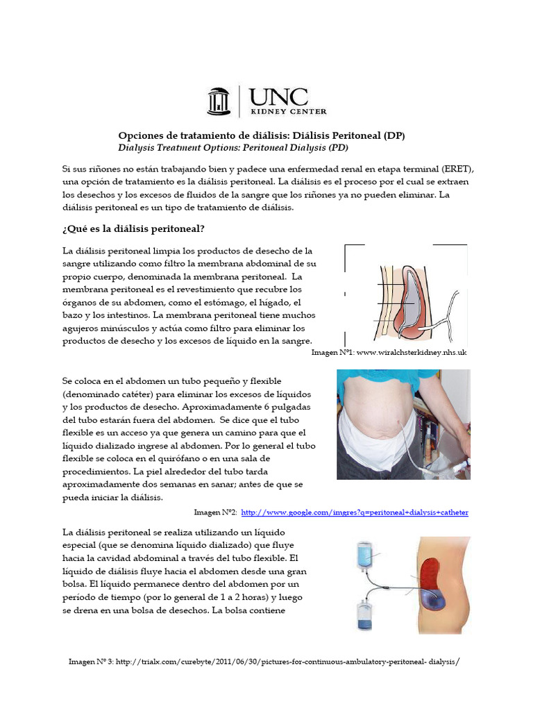Diálisis Peritoneal Guía Completa Pdf Peritoneo Enfermedades Y