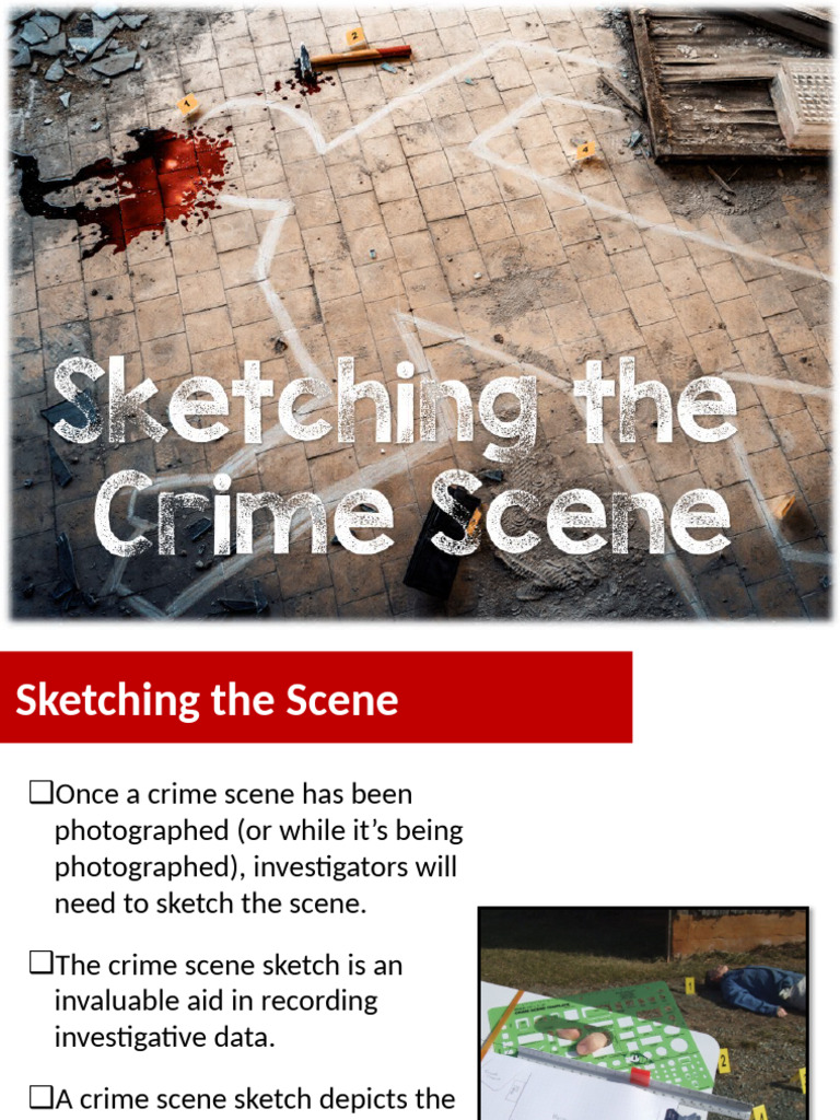 Sketching The Crime Scene Lesson (Updated) | PDF | Crime Scene | Area