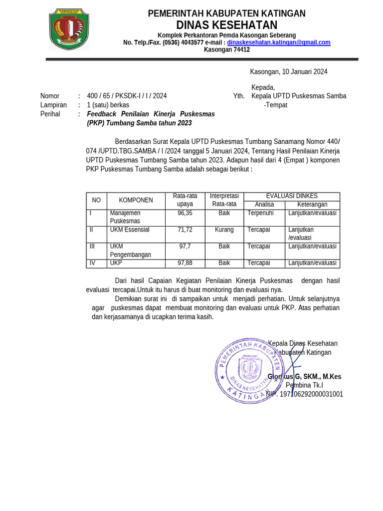 Surat Feedback PKP Dinas Kesehatan 2024 | PDF