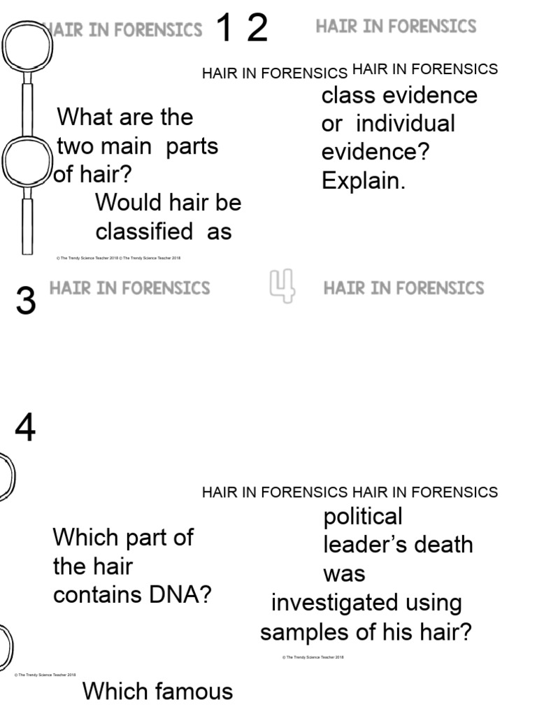 Hair Analysis in Forensics Task Cards | PDF | Hair | Forensic Science