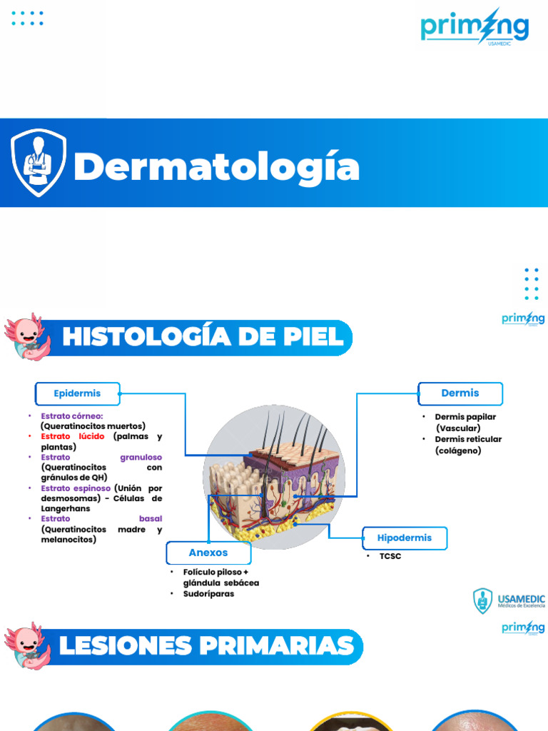 Priming Dermato - 2024 Nuevo | PDF | Piel | Especialidades Medicas