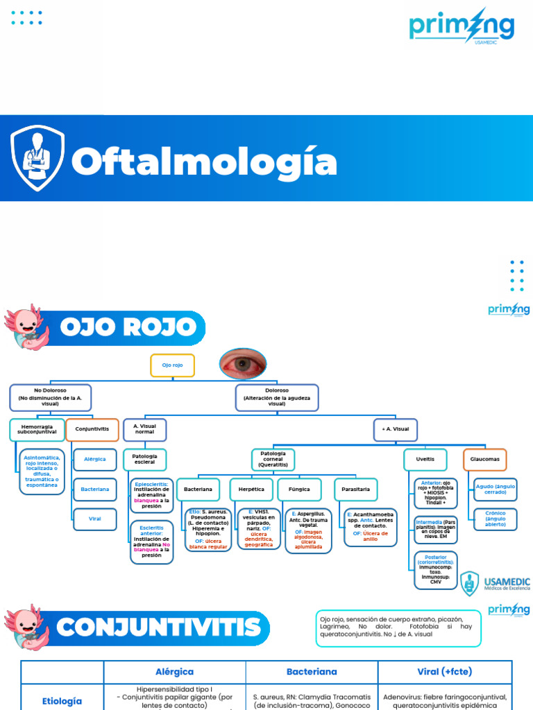 Priming Oftalmo - 2024 Nuevo | PDF | Glaucoma | Miopía
