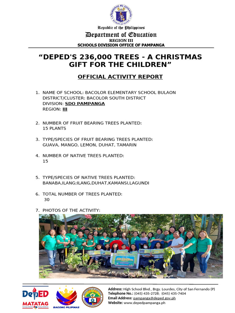 Sample Activity Report Template - Deped's 236,000 Trees | PDF