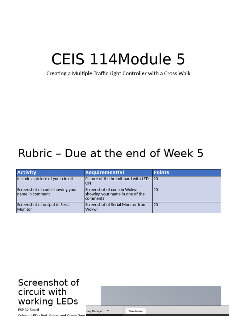 CEIS114 Project Template Module 5 Deliverable Name On The Circuit | PDF