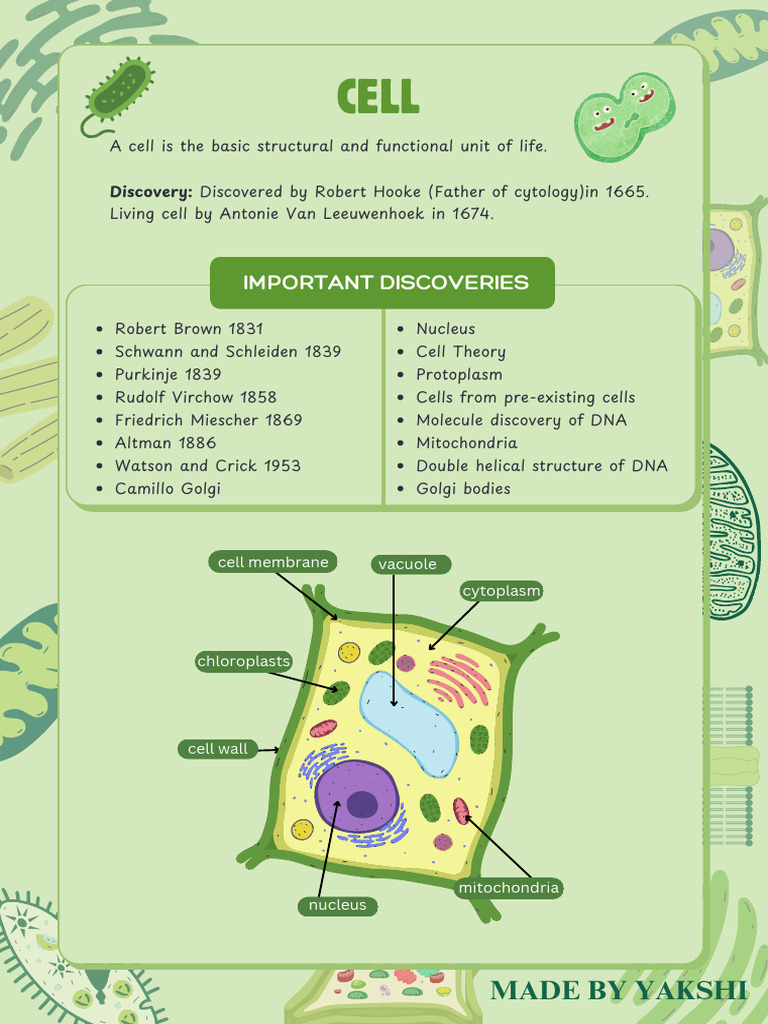 Key Discoveries in Cell Biology | PDF