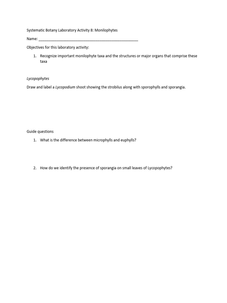 Systematic Botany Laboratory Activity 8 | PDF