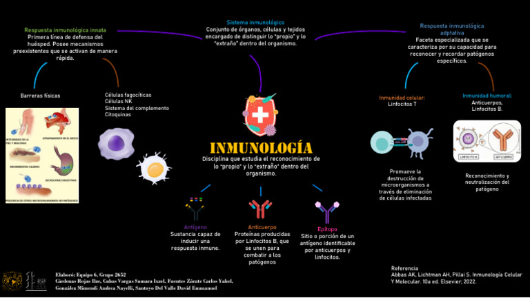 Tarea 10 EQ 6 Inmuno | PDF | Sistema inmune | Linfocitos