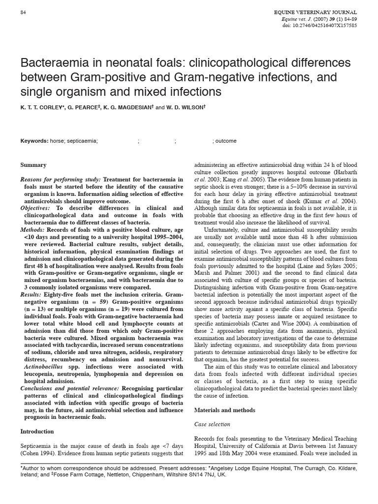 Bacteremia Neonatal Foals - Gram Positive and Gran Negative Infections ...