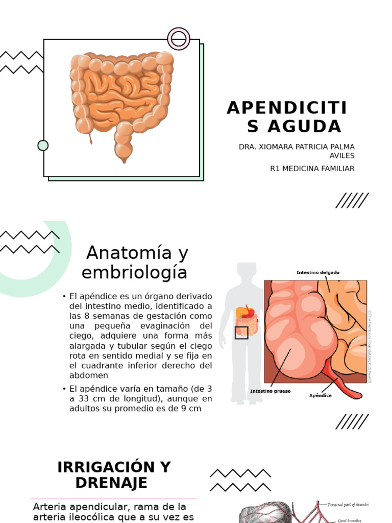 Apendicitis Aguda | PDF | Enfermedades y trastornos | Gastroenterología