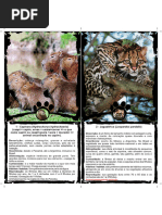 Animais Da Caatinga | PDF