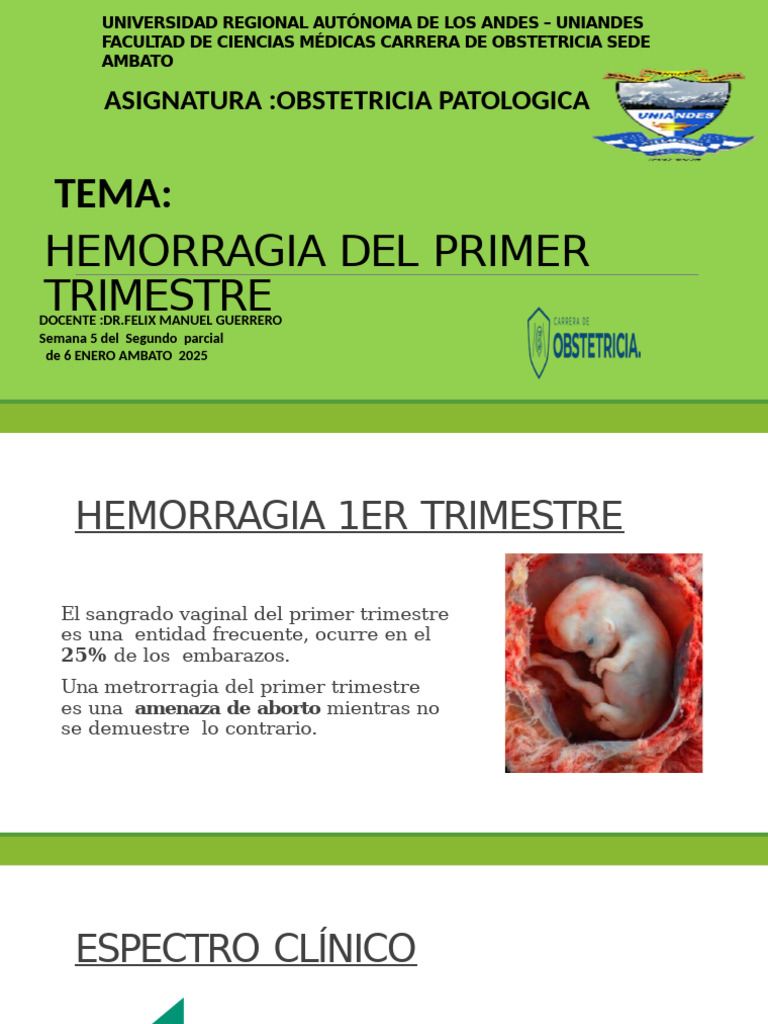 Hemorragia Obstetrica Primer Segundo y Tercer Trimestre | PDF | El embarazo | Aborto
