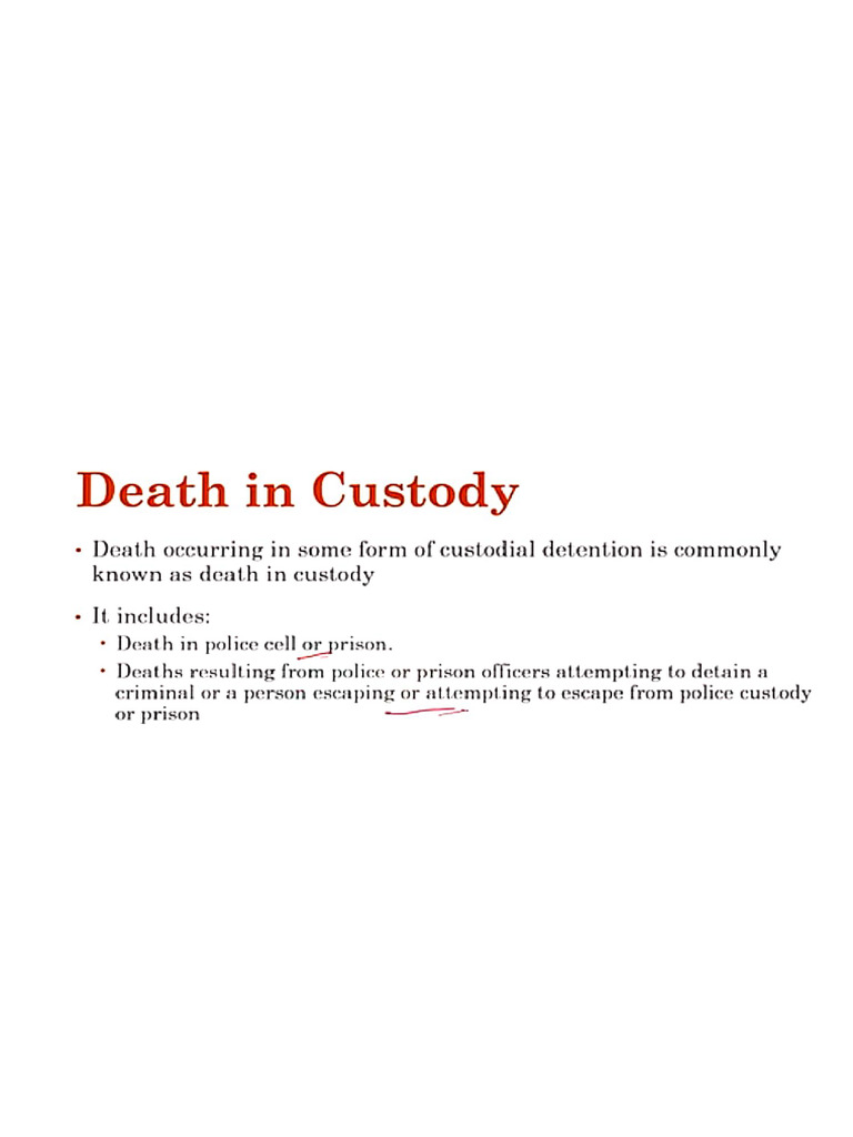 Custody | PDF