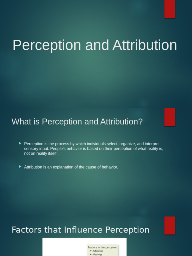 Perception and Attribution | PDF | Perception | Stereotypes