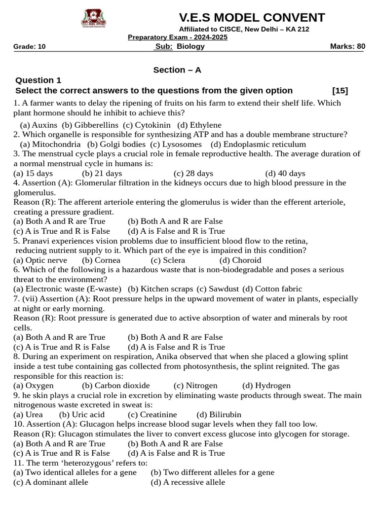 Final Exam Grade 10 Biology | PDF | Photosynthesis | Excretion