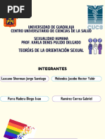 Los Holones de La Sexualidad | PDF | La sexualidad humana | Sicología