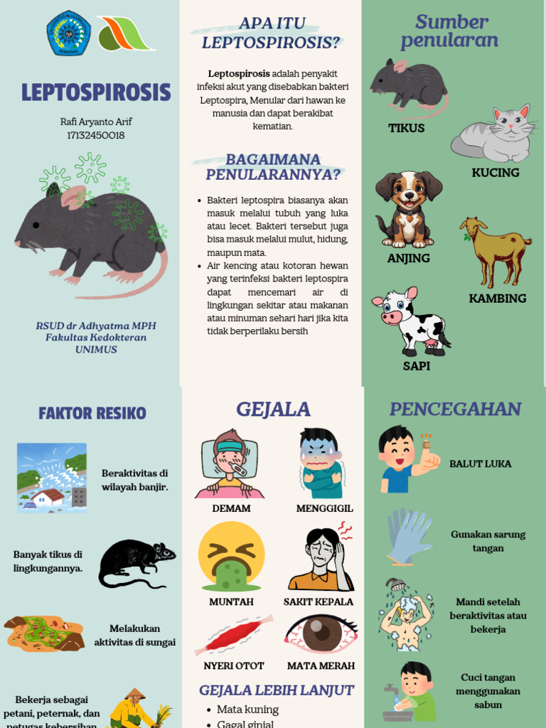 Penyuluhan Leptospirosis | PDF