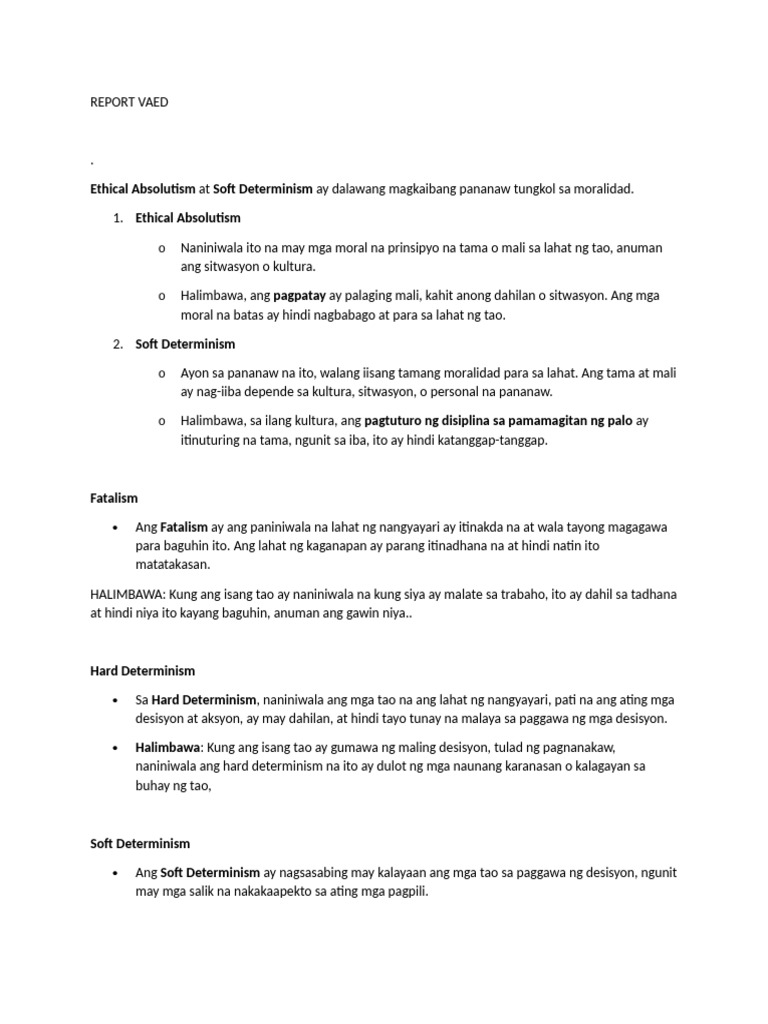 Report Vaed | PDF