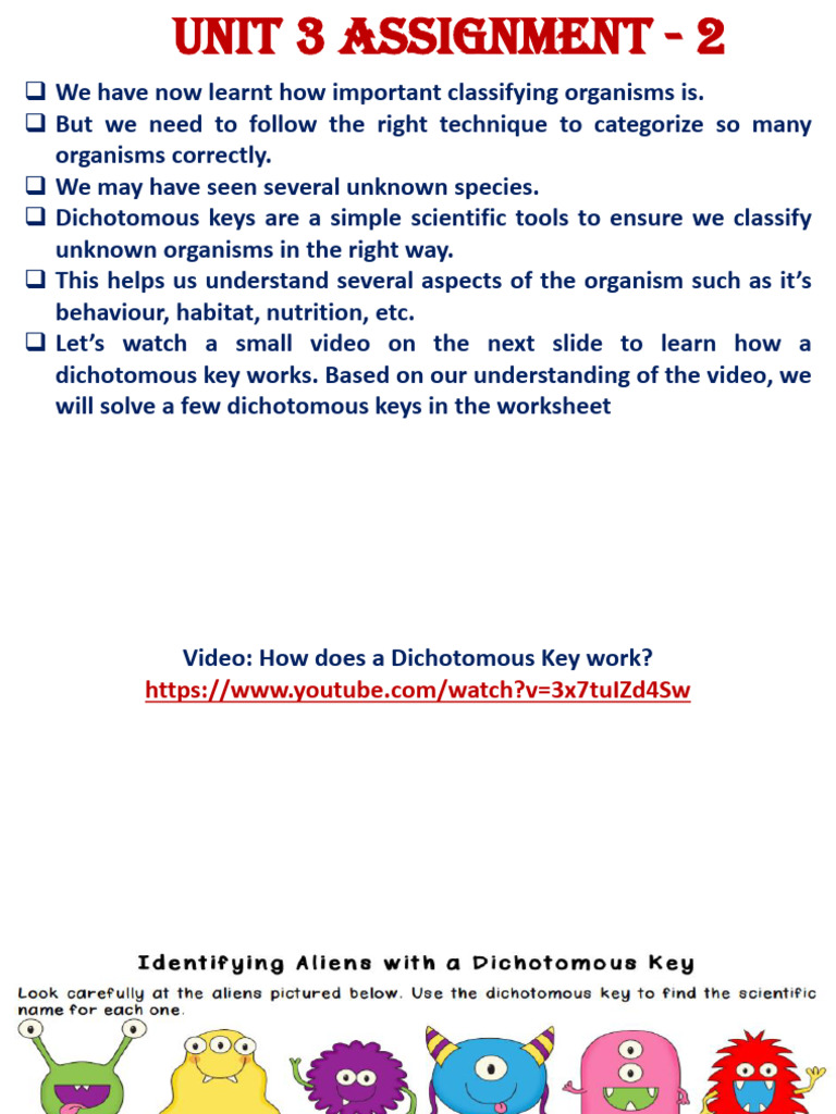 Unit 4 Assignment | PDF