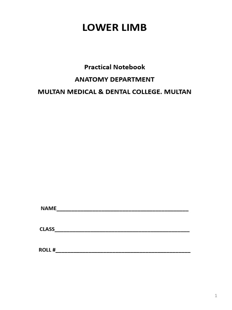 Lower Limb Anatomy Guide | PDF | Human Leg | Ankle