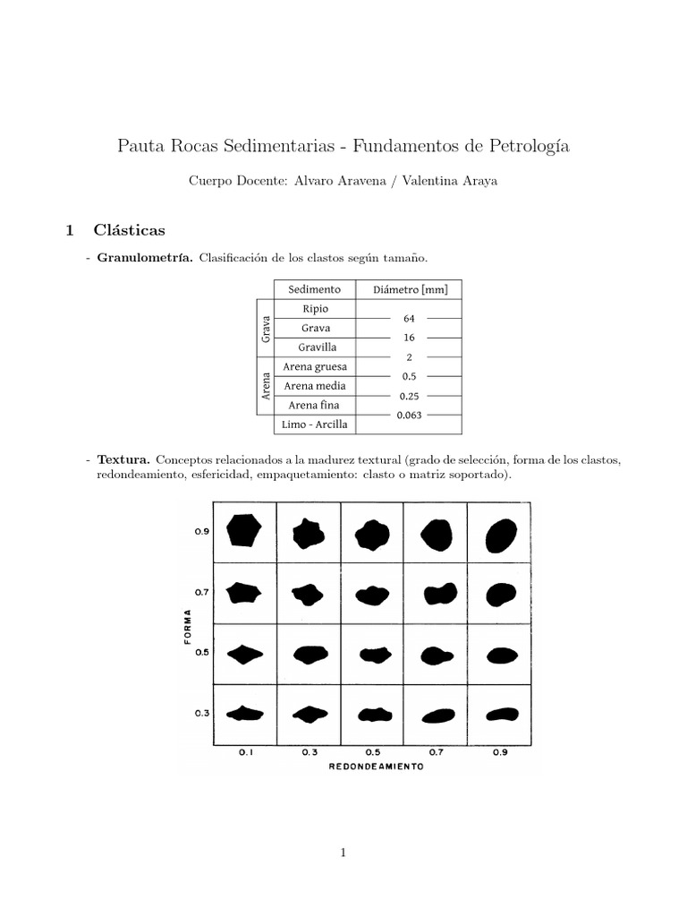Fundamentos de Petrología Sedimentaria | PDF | Roca clástica | Roca ...