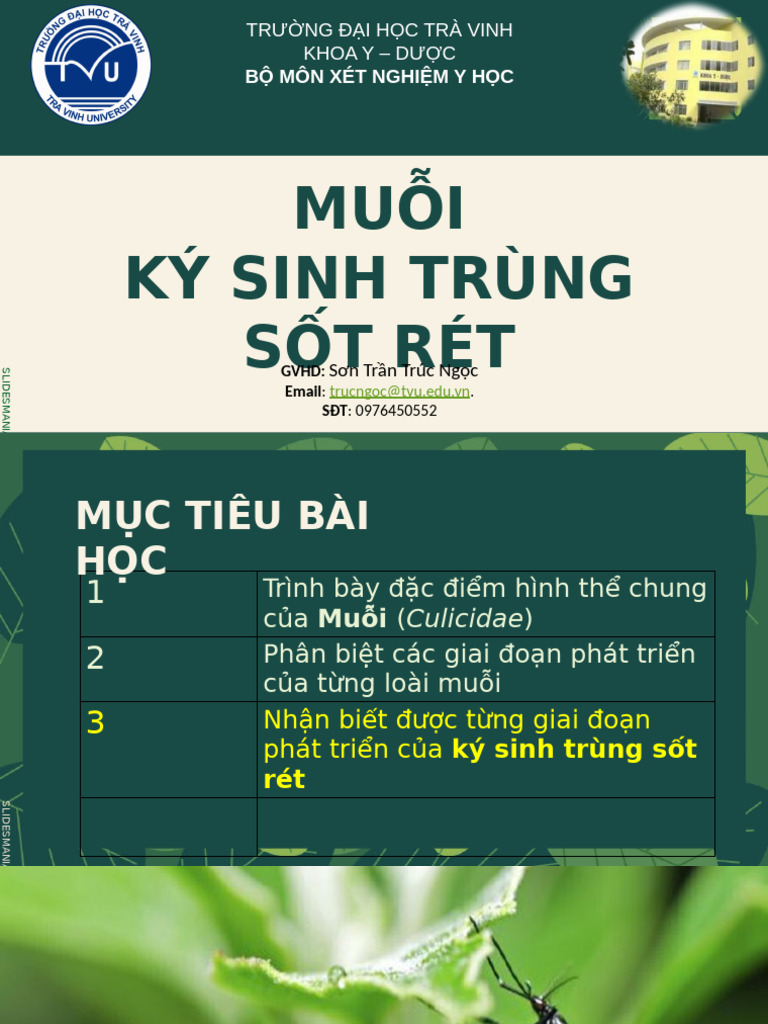 Mu I - KST - SV | PDF