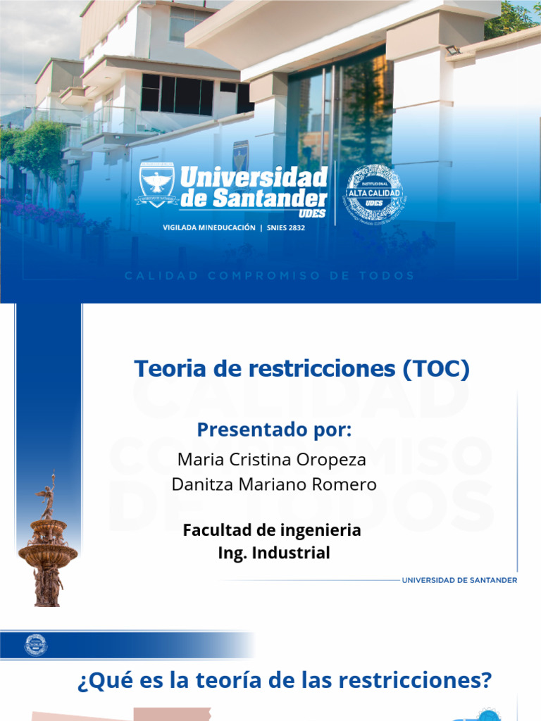 Teoria de Restricciones | PDF | Business | Economias