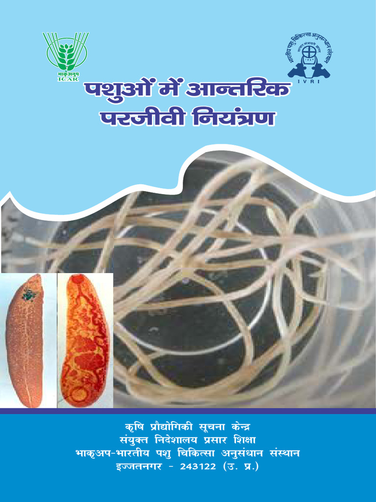 Ivri FFL 5 2020 | PDF