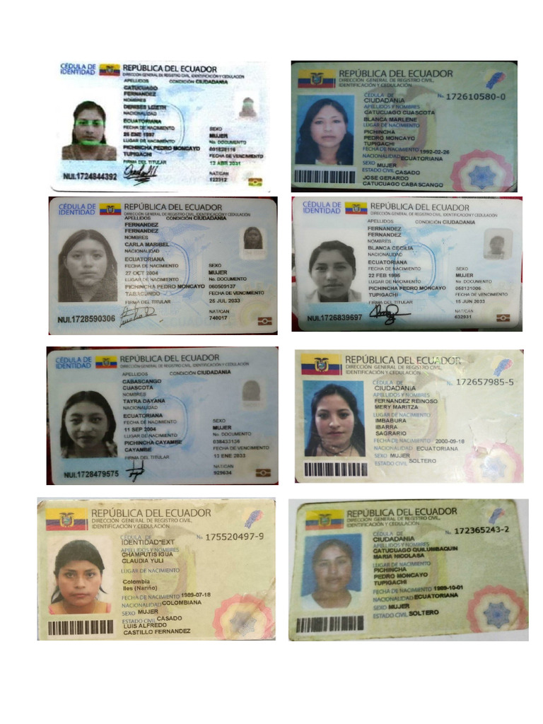 Cedulas para Carnet Equipo Necaxa | PDF