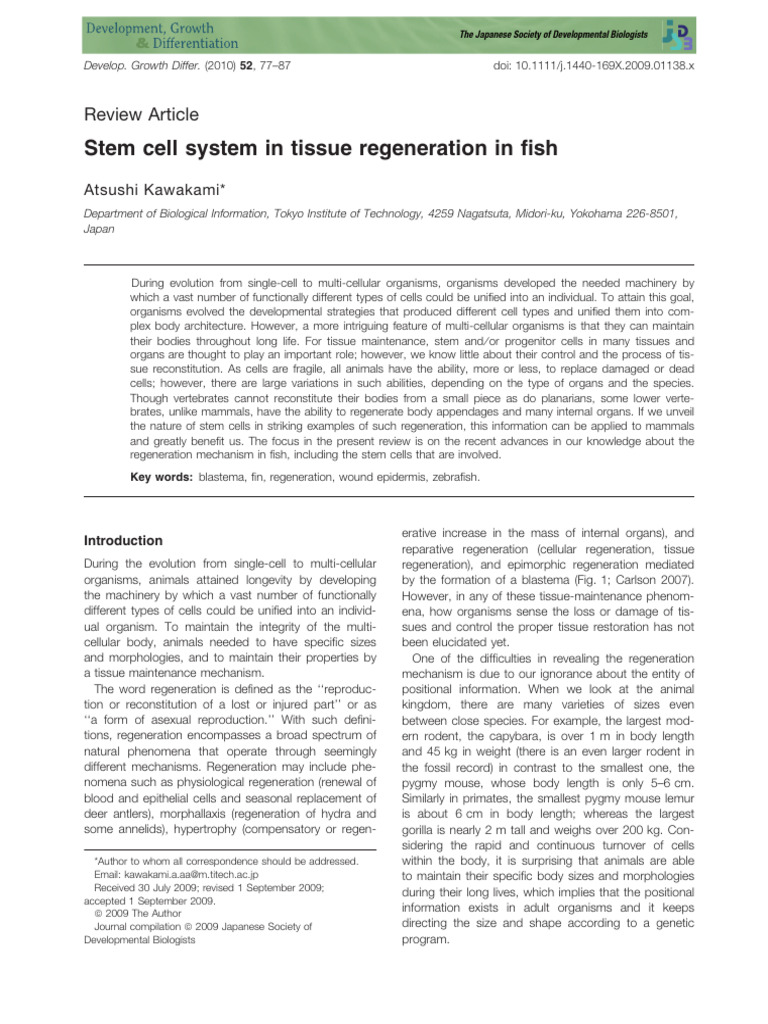 Fish Stem Cells in Tissue Regeneration | PDF | Regeneration (Biology ...
