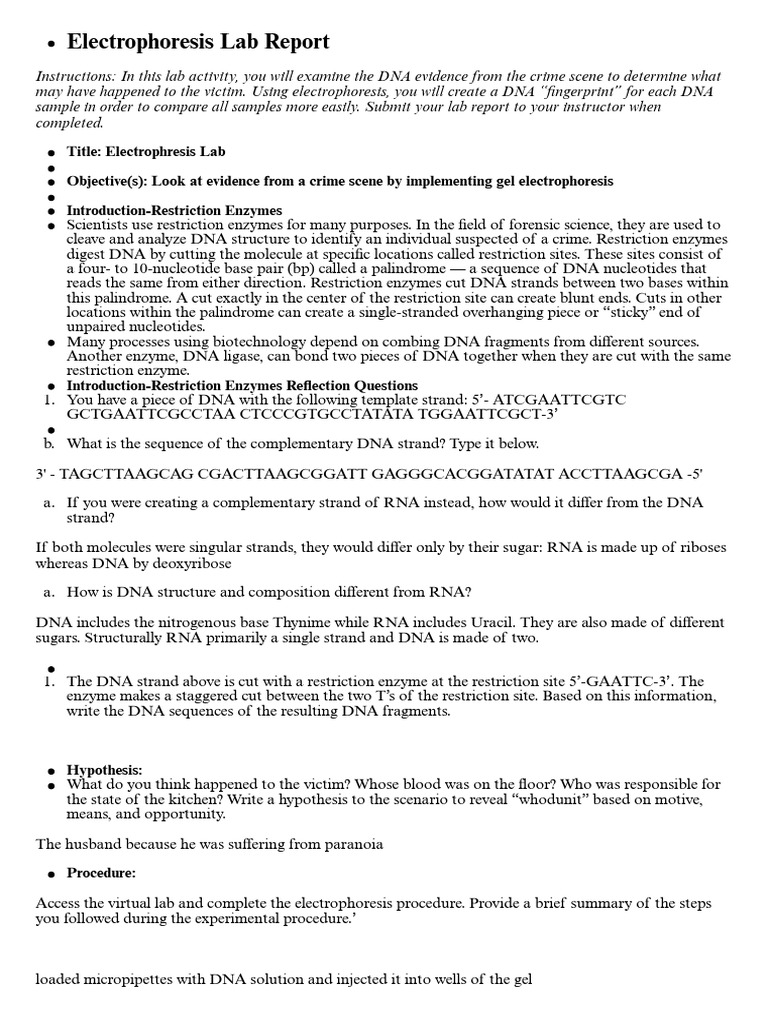 06 01 Electrophoresis Lab Report | PDF | Restriction Enzyme | Dna