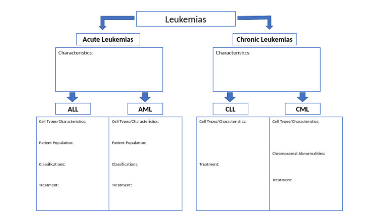 Leukemia Flowchart Overview | PDF