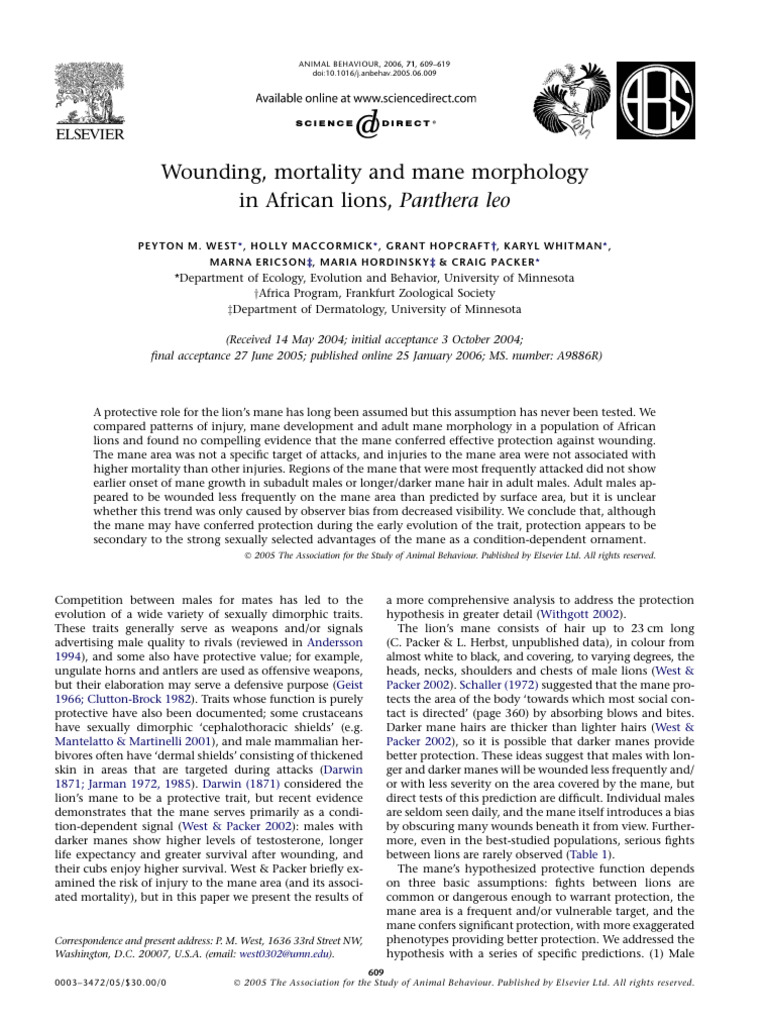 Mane protective purposes | PDF | Lion