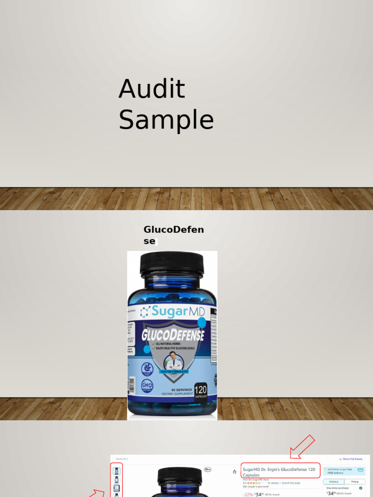 Audit Sample | PDF