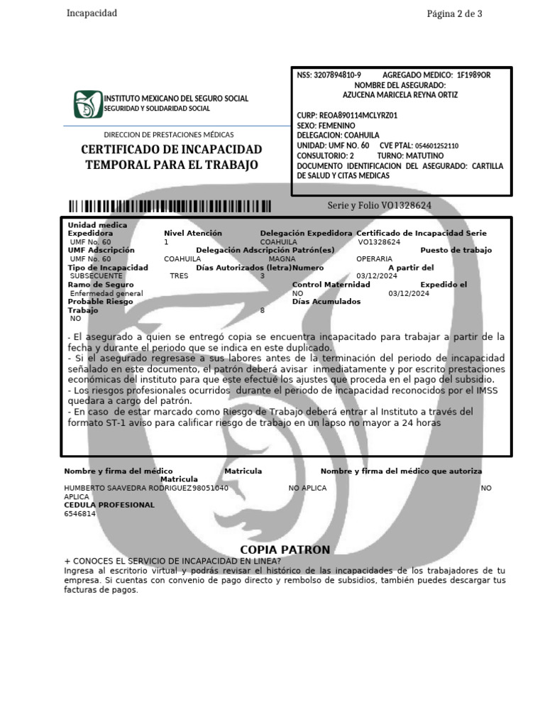 Incapacidad Imss Editable | PDF