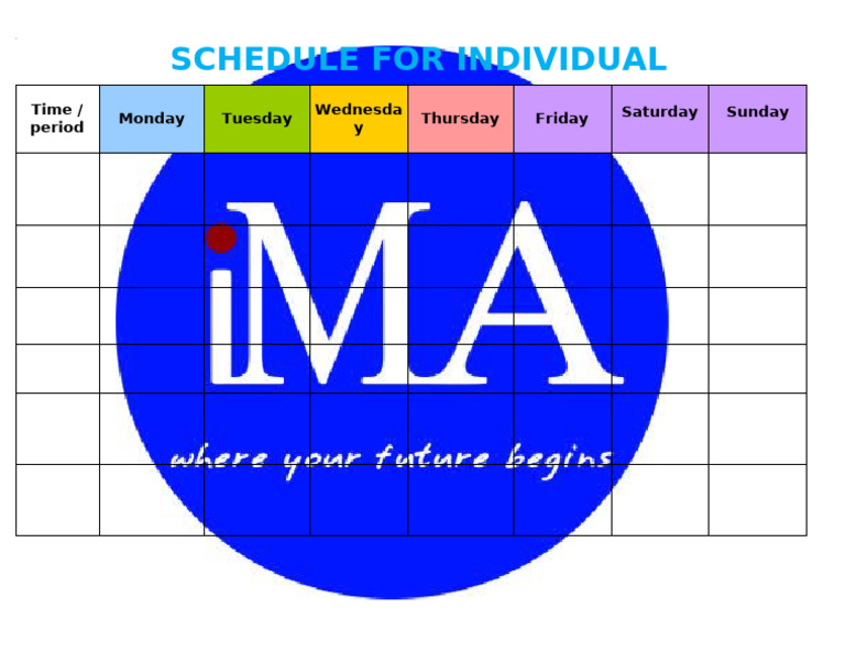 Individual Schedule Overview | PDF