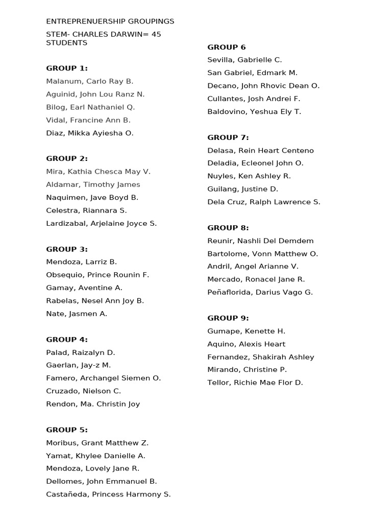 Entreprenuership Groupings 1 | PDF