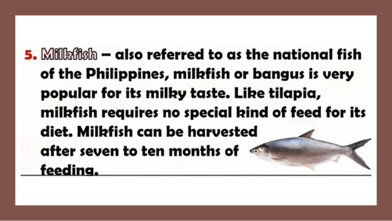 Milk Fish | PDF