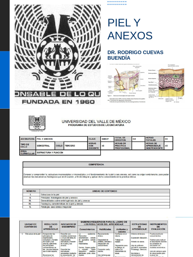 Sistema Tegumentario - Piel y Anexos | PDF | Epidermis | Piel