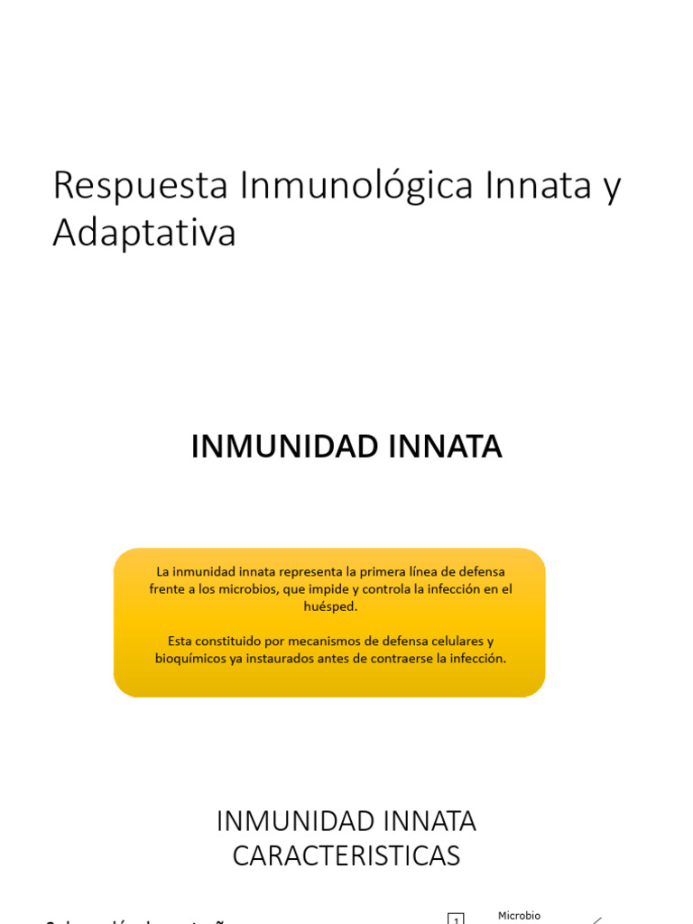 Inmunidad Innata y Adaptativa | PDF | Sistema inmune | Sistema inmune innato