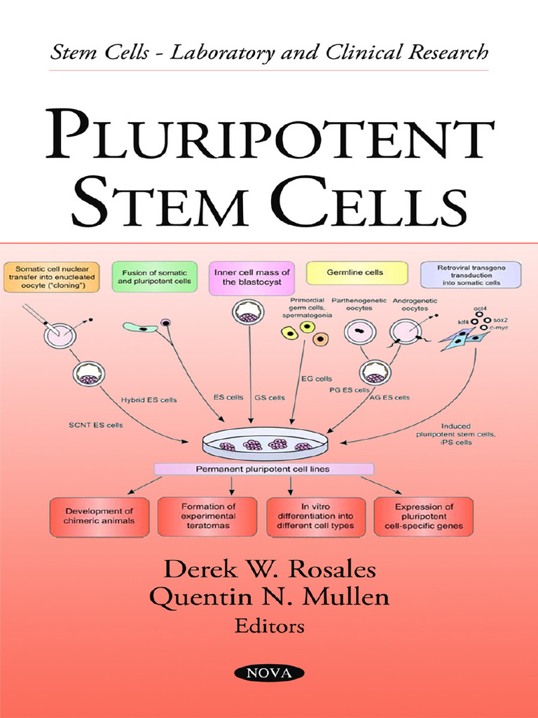 Pluripotent Stem Cells - D. Rosales, Q. Mullen (Nova, 2010) WW | PDF ...