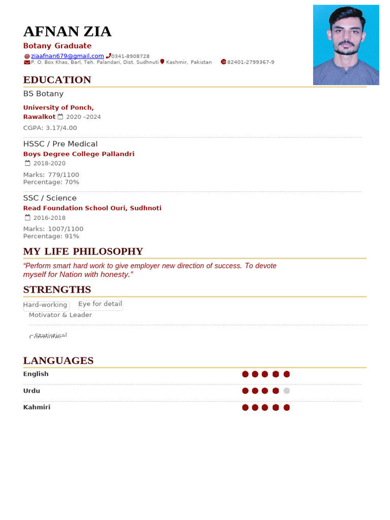 CV Must | PDF