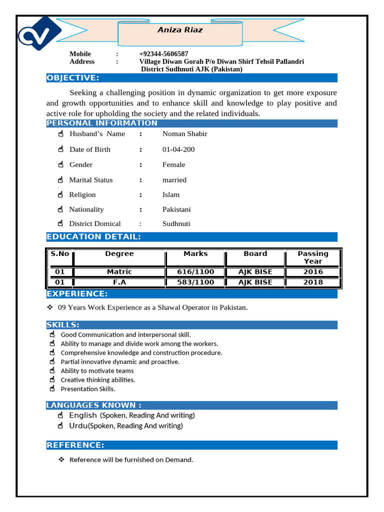 Aniza Riaz - Professional Profile Summary | PDF